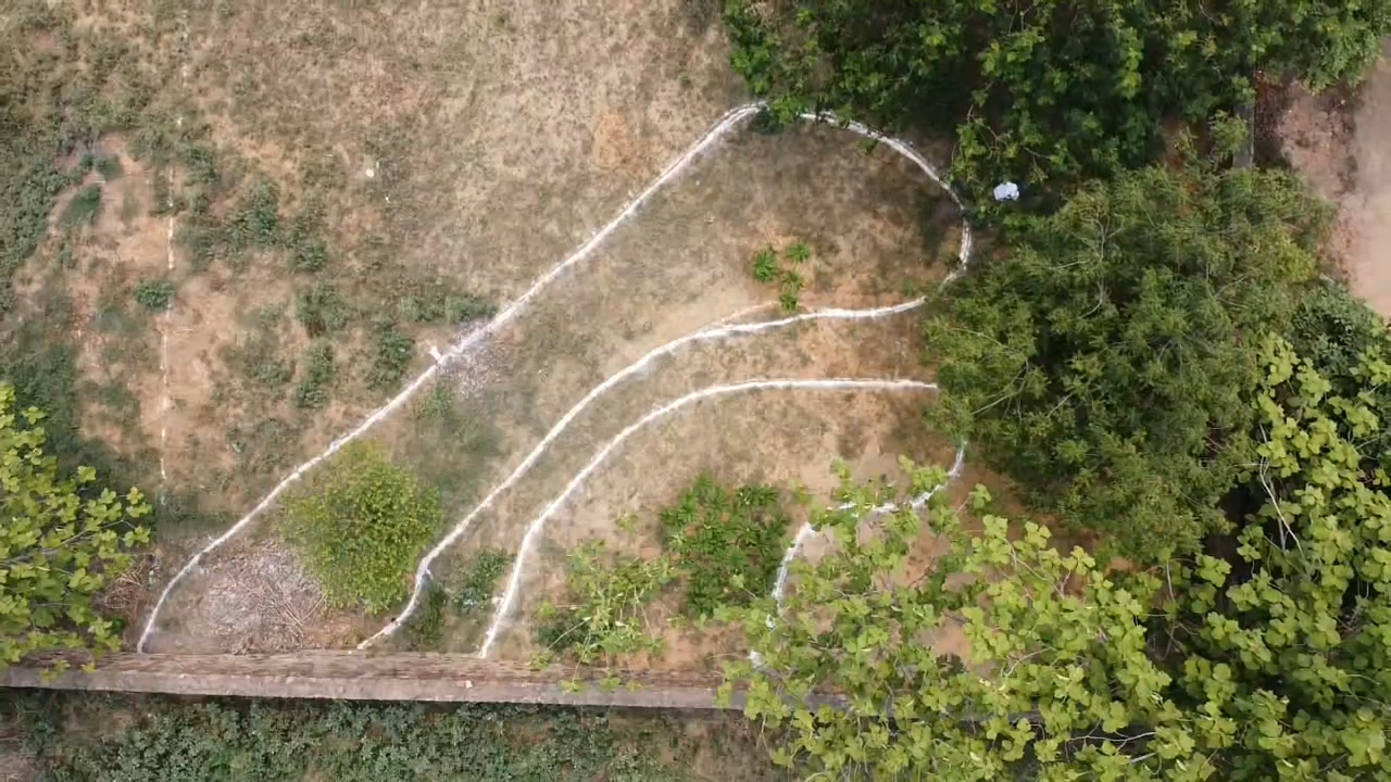 TREEZY - Forest System Details